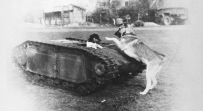 Tank 100 Archives - The Tank Museum